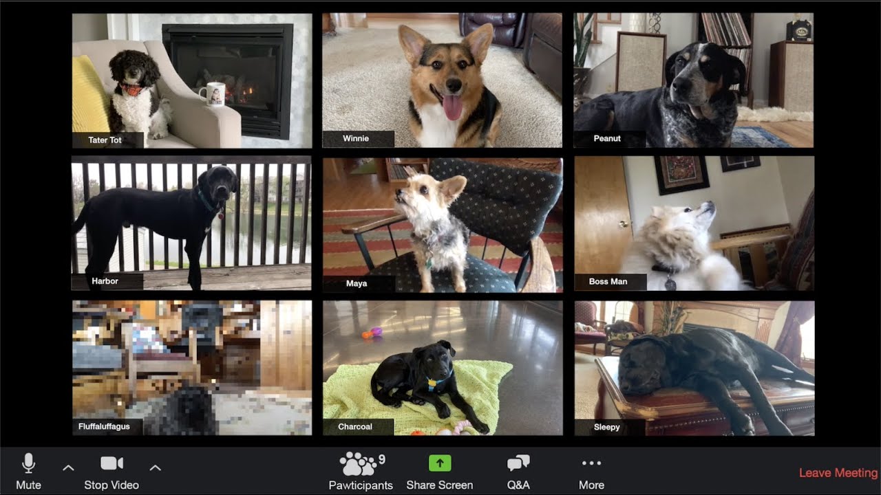 Zoom is great but hugs are greater - Gerd Leonhard Futurist Humanist ...
